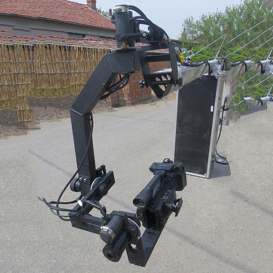 Dutch Head | virtuecrane